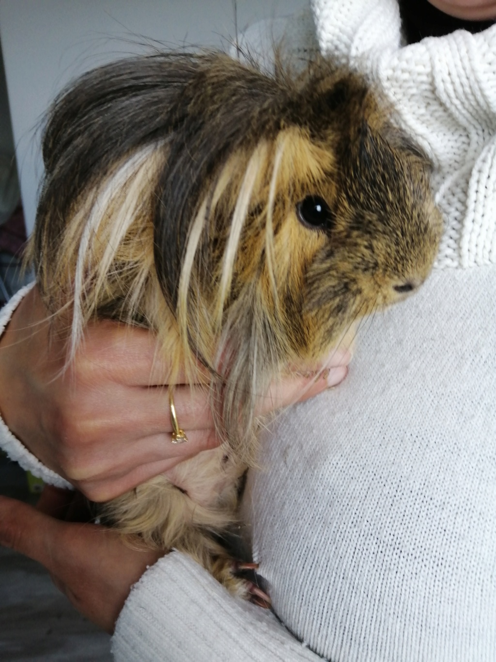 Pilou - Au Bazar des NAC